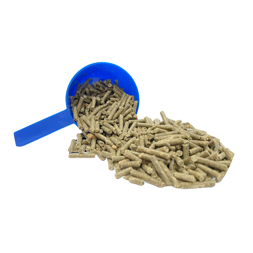 Feed Quiz – Blue Chip Feed