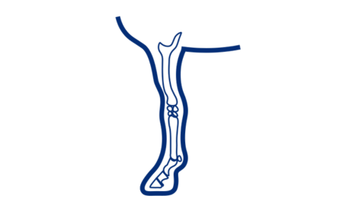 Joint Care Super Concentrated Feed Balancer - For daily joint support ...